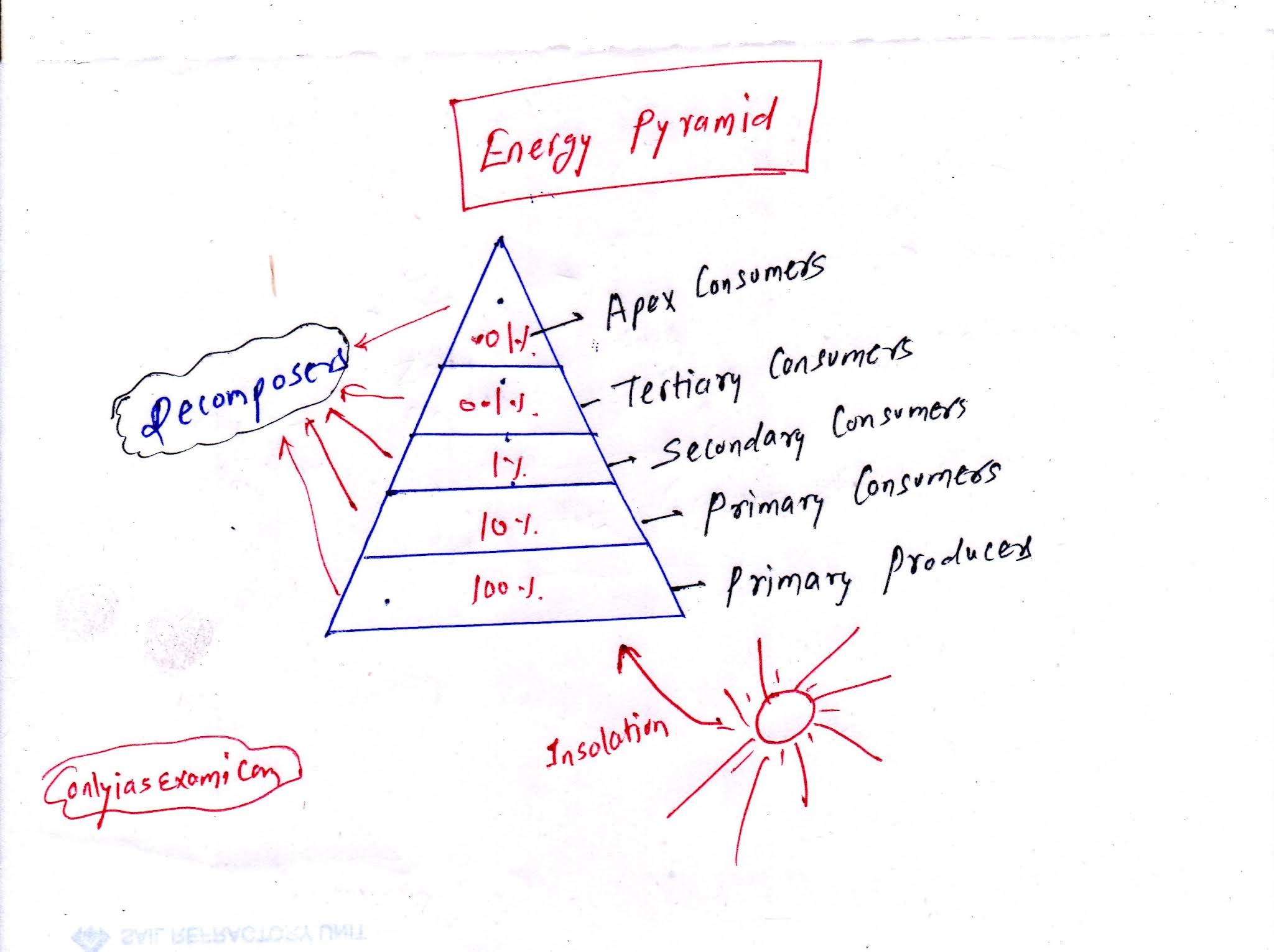 Principle of energy flow| Principle of Trophic level | Principle of ...
