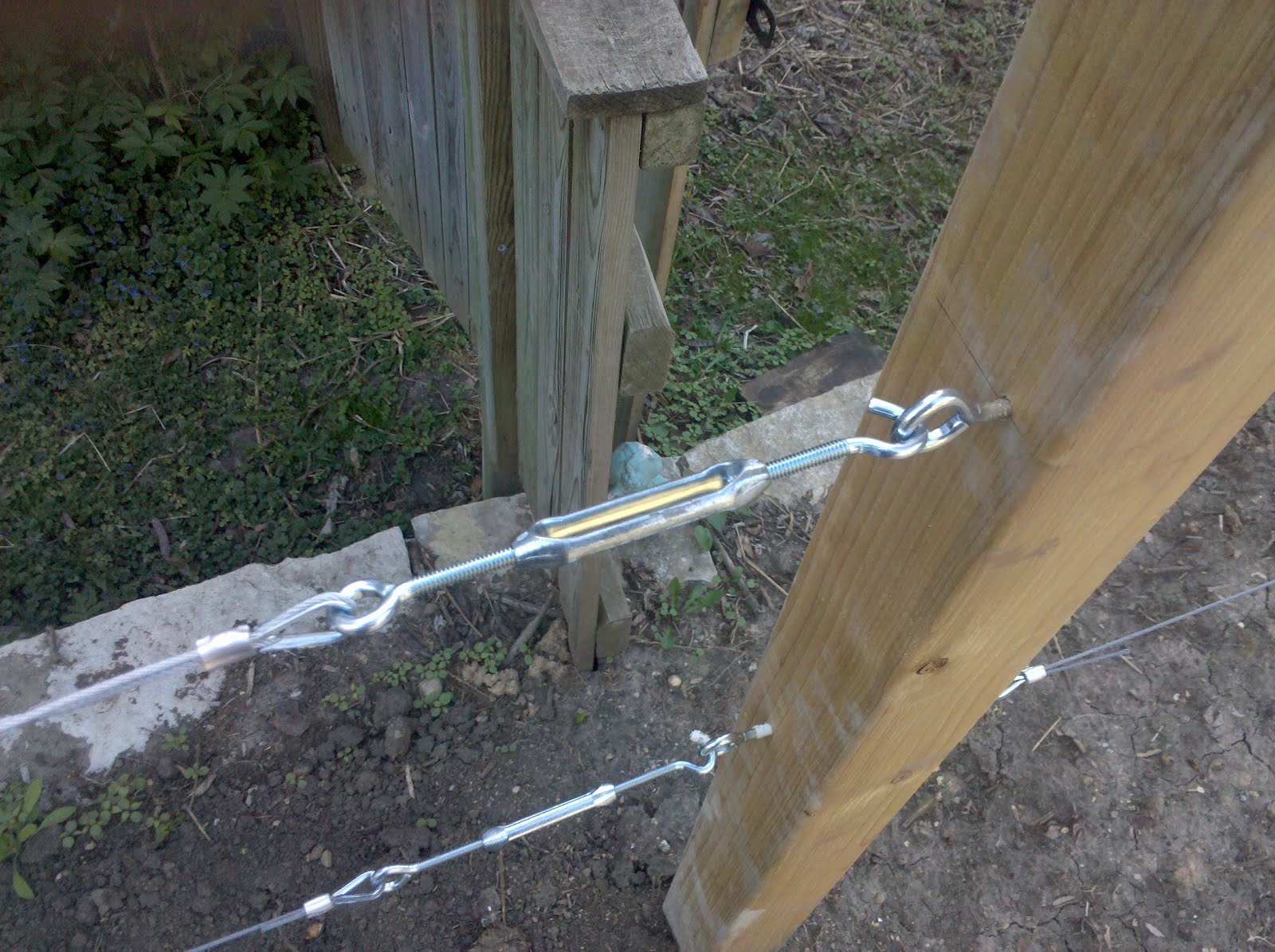 Espaliers and Backyard Fruit Production: Building a Wire Support System ...