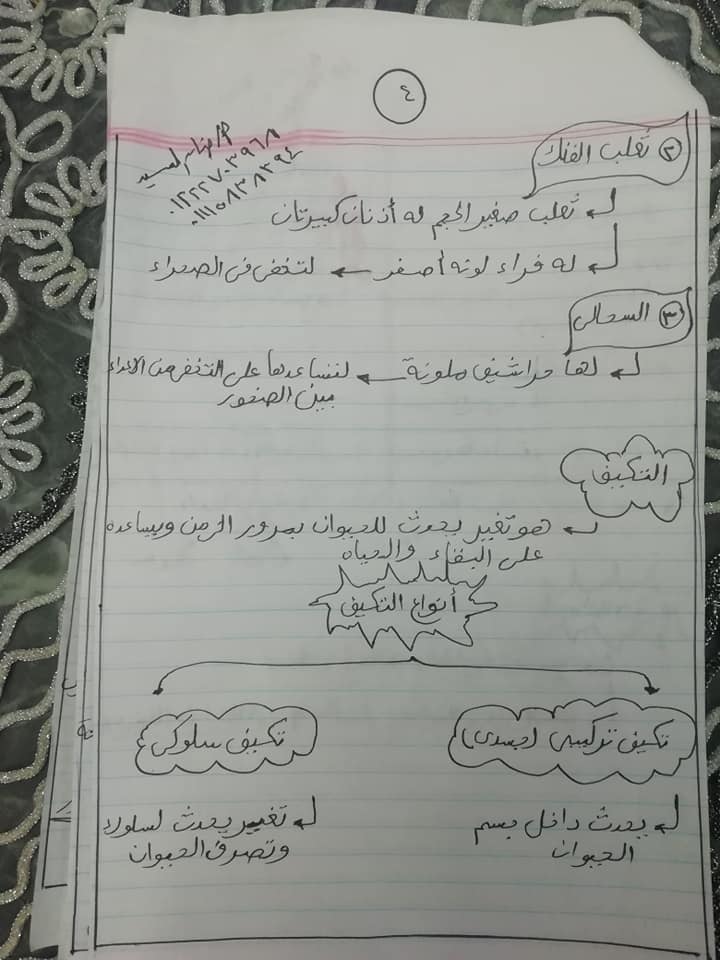 ملخص درس التكيف والبقاء علوم الصف الرابع الابتدائى أ حنان السيد