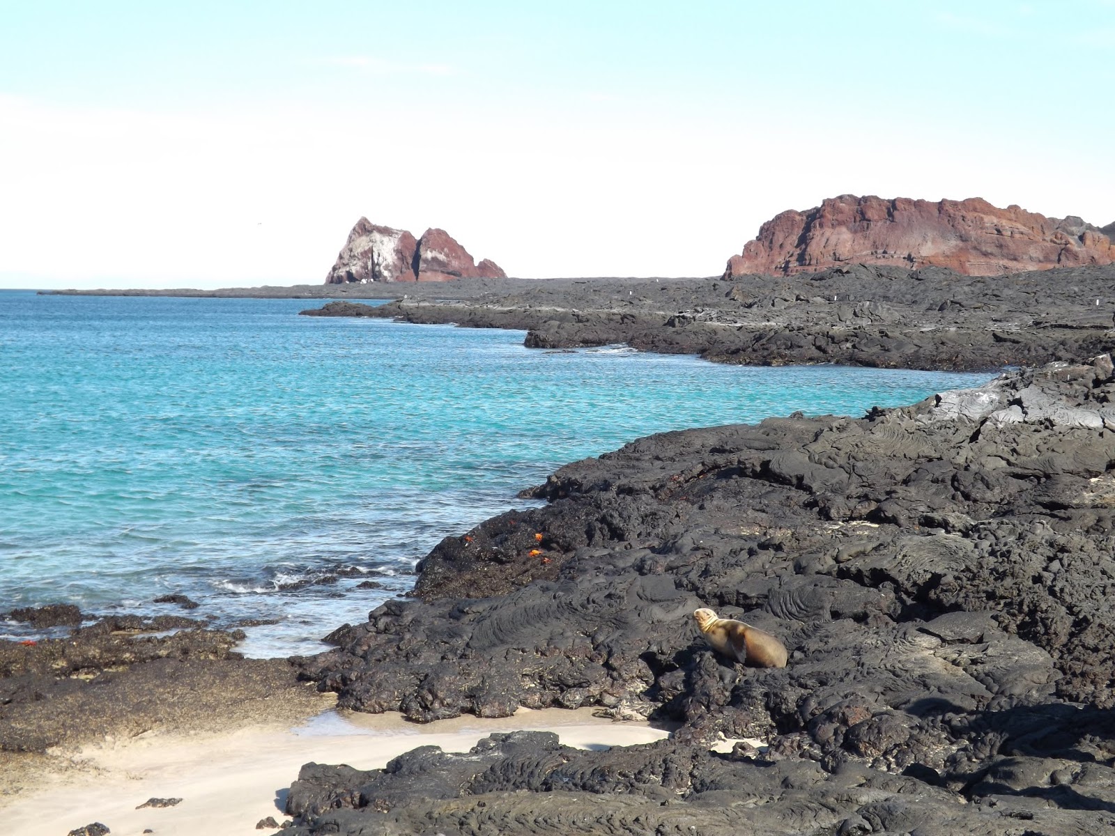 Curioseandando: agosto 2019