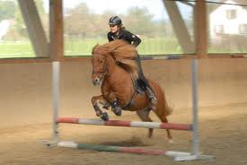 Sport : Reiten: Reitarten