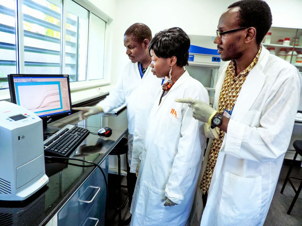 IITA News and Updates: Real-Time PCR training