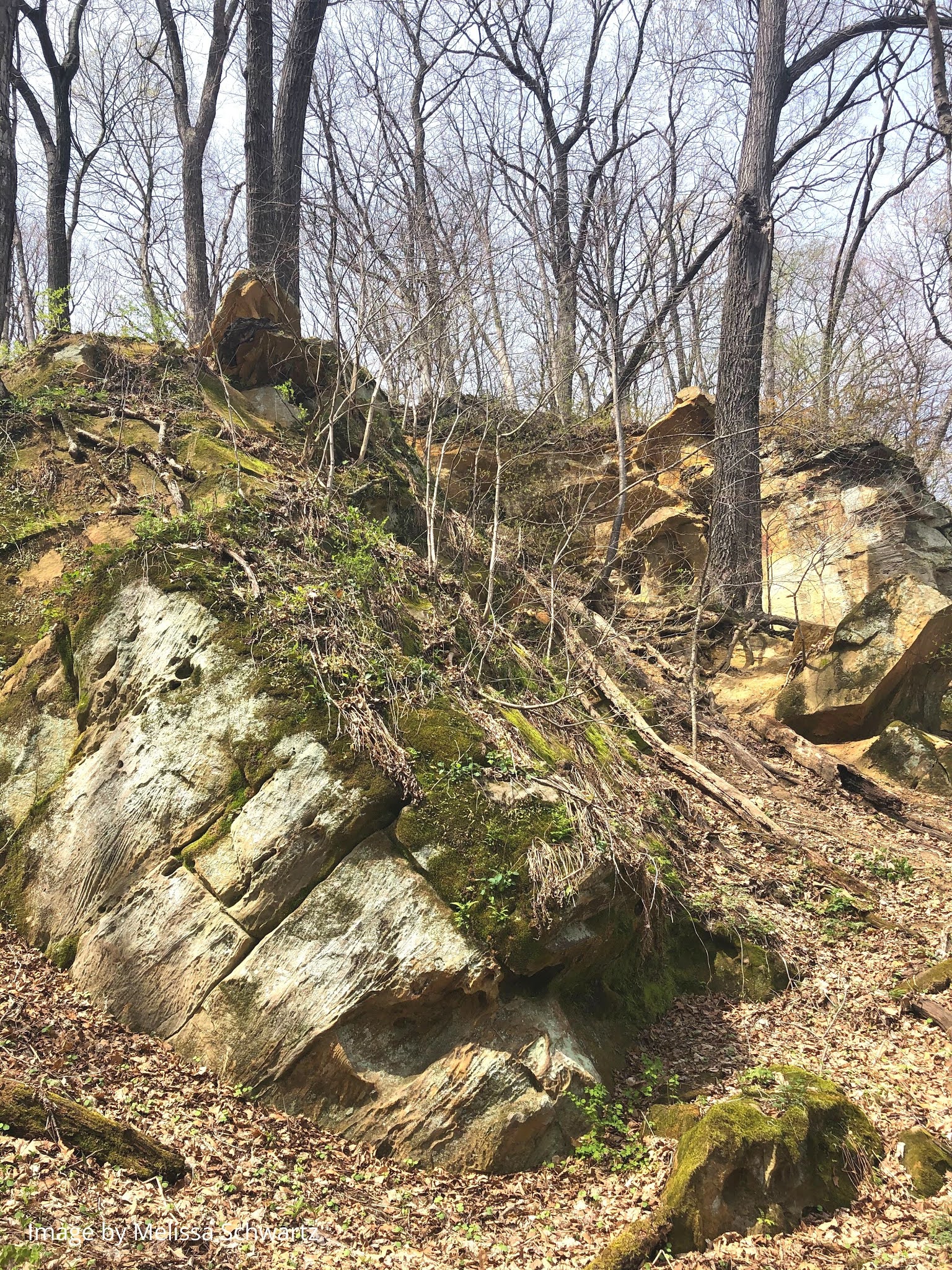 A Little Time and a Keyboard: Canyons, Waterfalls, Wildflowers and ...