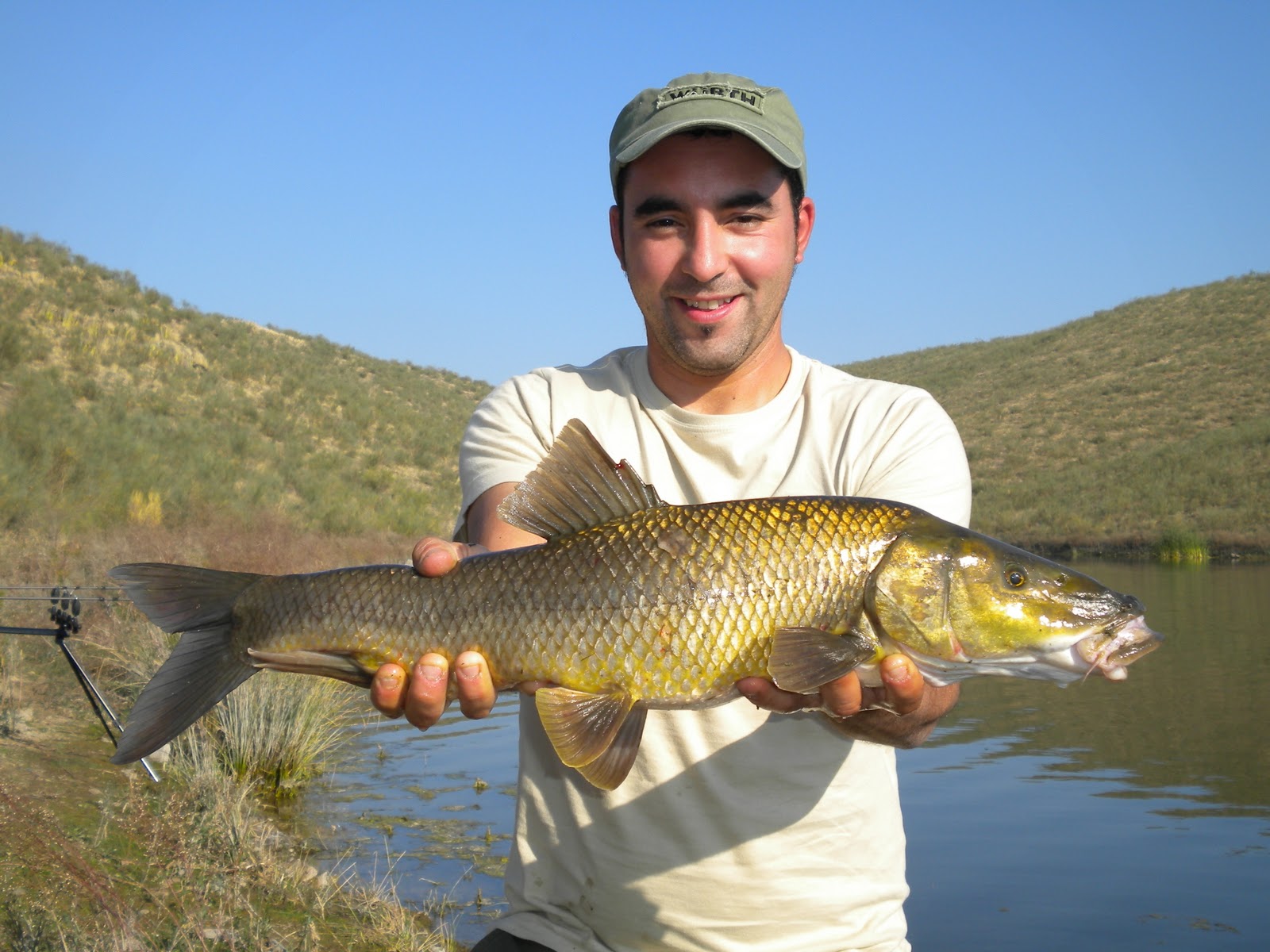 fotos pesca de agua dulce: Barbos