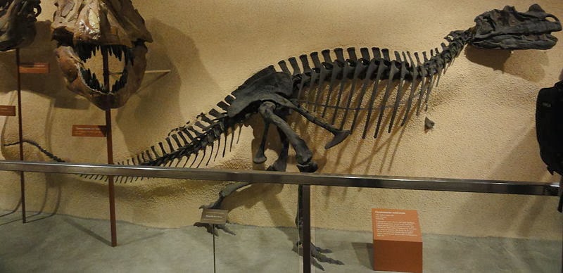 Prehistoric Beast of the Week: Ceratosaurus: Beast of the Week