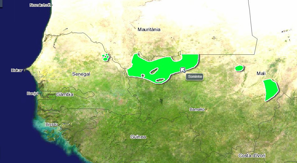 Soninké en el mundo: Orígen