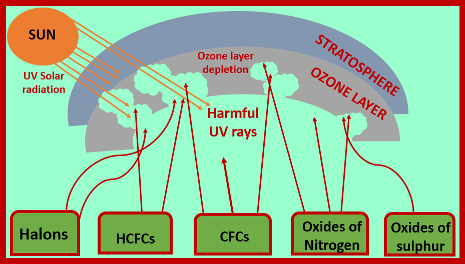 ELEMENTAL CHEMISTRY: Ozone Layer