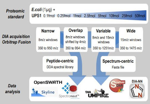 News in Proteomics Research: DIA Software Deathmatch!