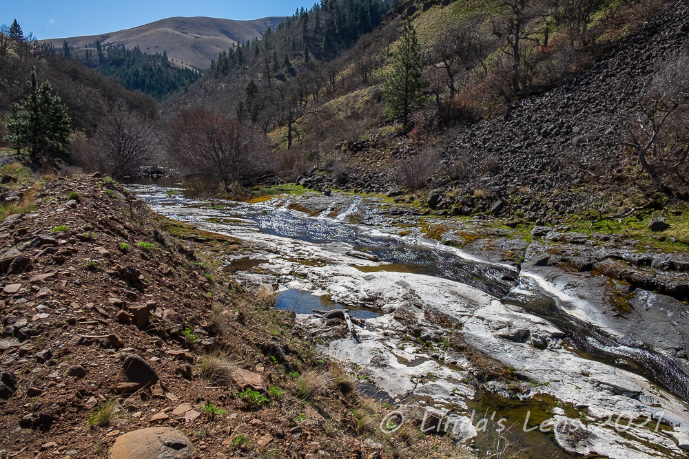 Linda's Lens: Swale Canyon