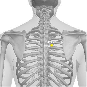 Blog Le Souffle du Menhir: V15 Xin Shu / Xīn Shù心俞 Point d'assentiment ...