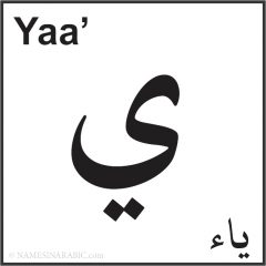 Easy Arabic Alphabet Letters learning for the Quran reading