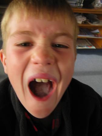 Room 4 Lawrence Area School 2011: Foaming at the Mouth - Sherbet