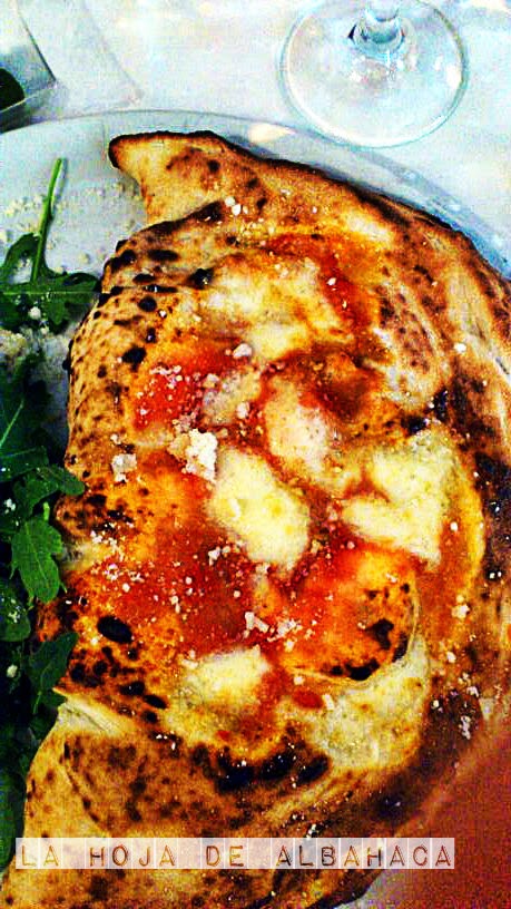 ¿Made in Italy?: Luna Rossa / La Hoja de Albahaca