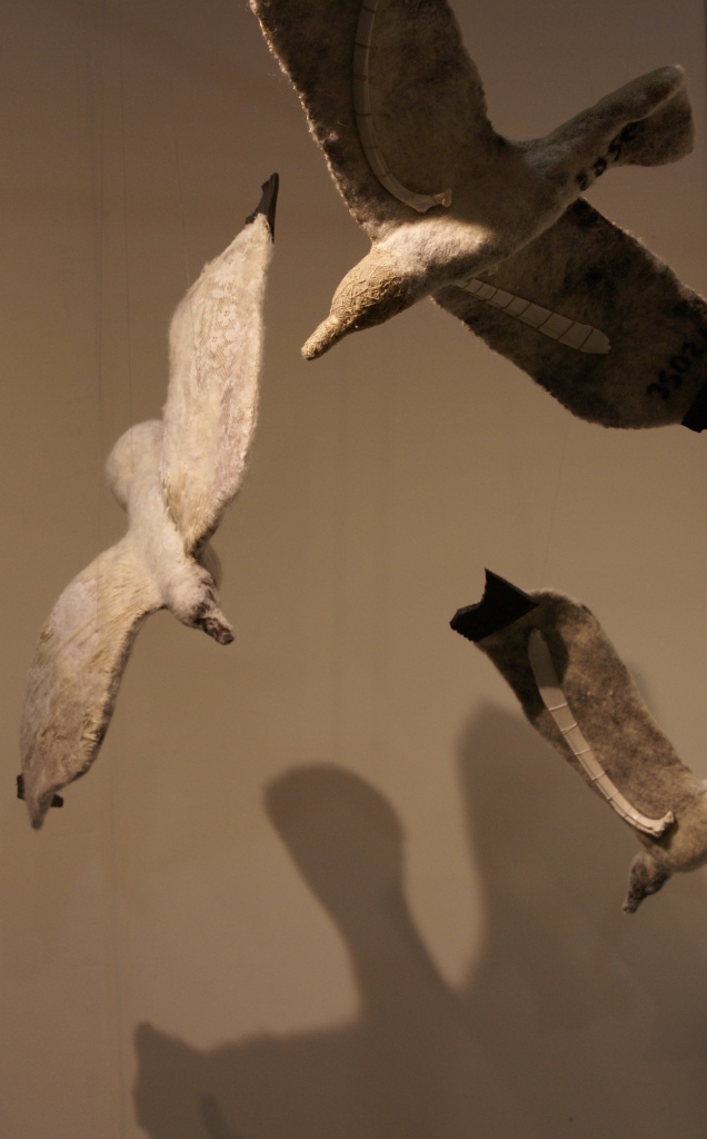 Caroline Schofield Visual Artist