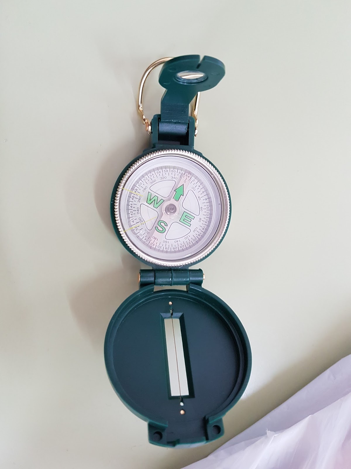 Lucy's Classroom: A Compass! 6th grade