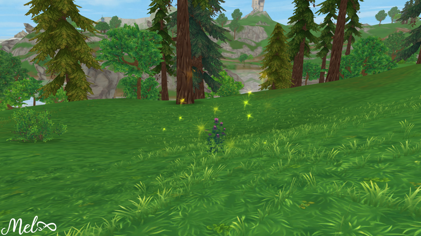 Forgotten fields star stable - bezypon