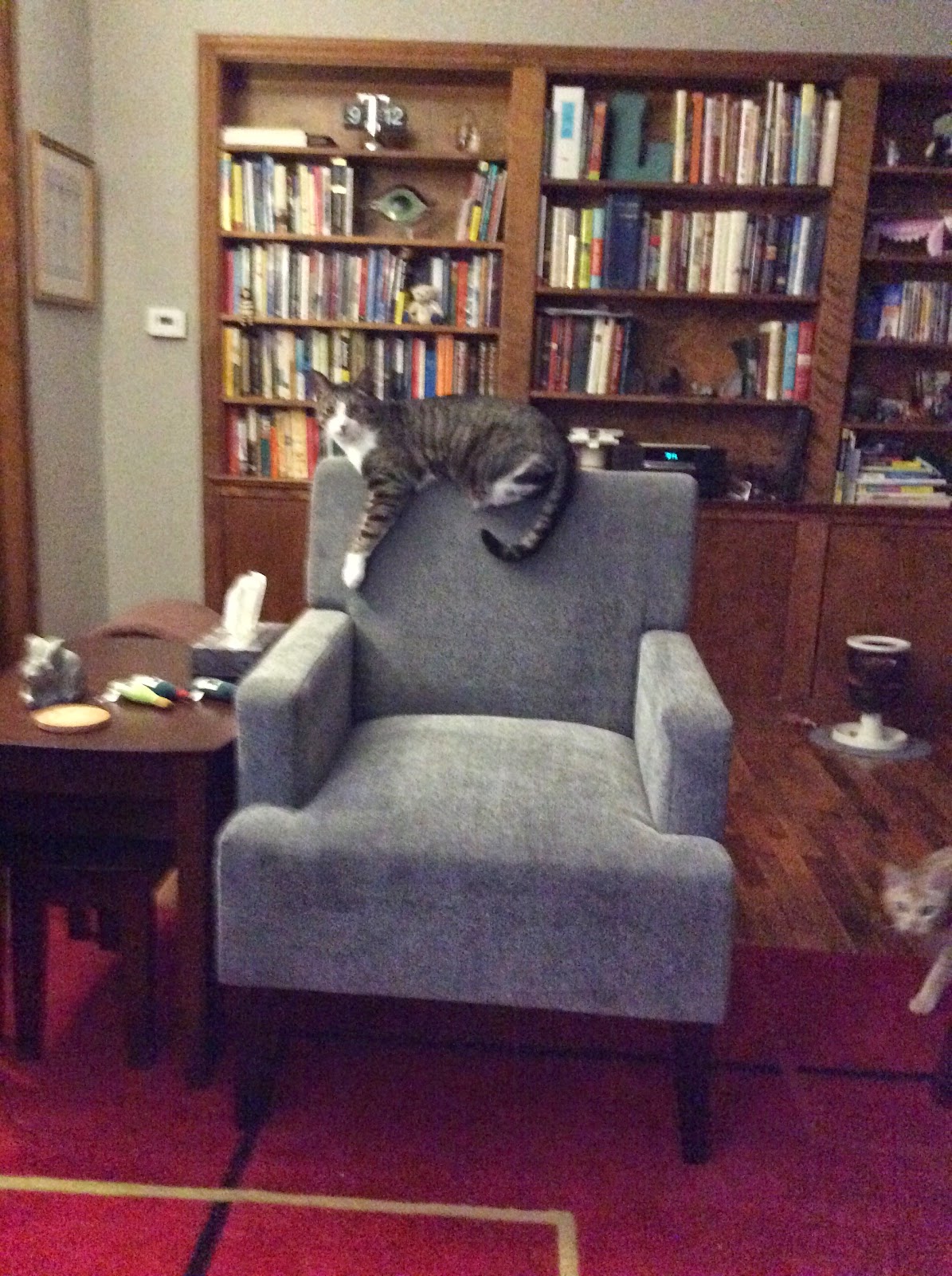 Czarina's Blog: Puttering around the house