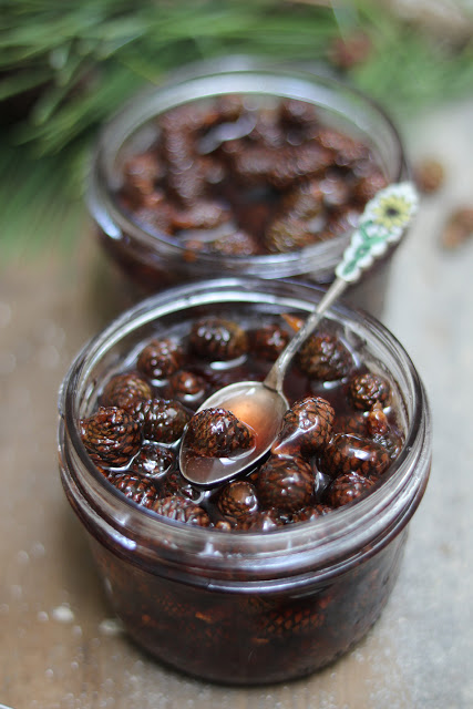66 Square Feet (The Food): Pine Cone Jam - what it is and how to use it