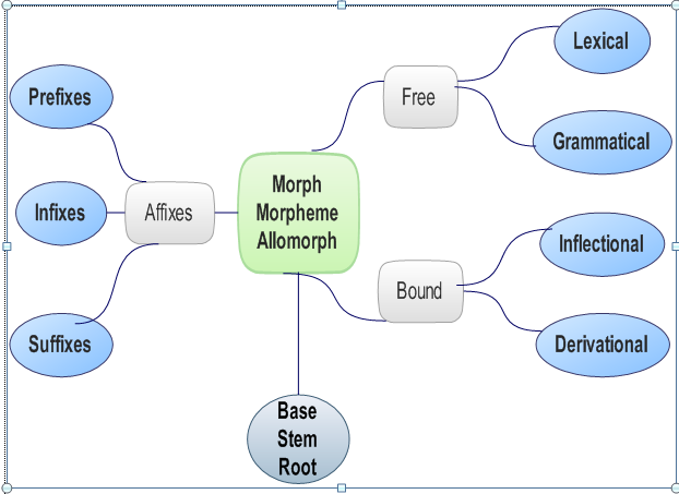 Mohammad Abdollahi: MORPHOLOGY