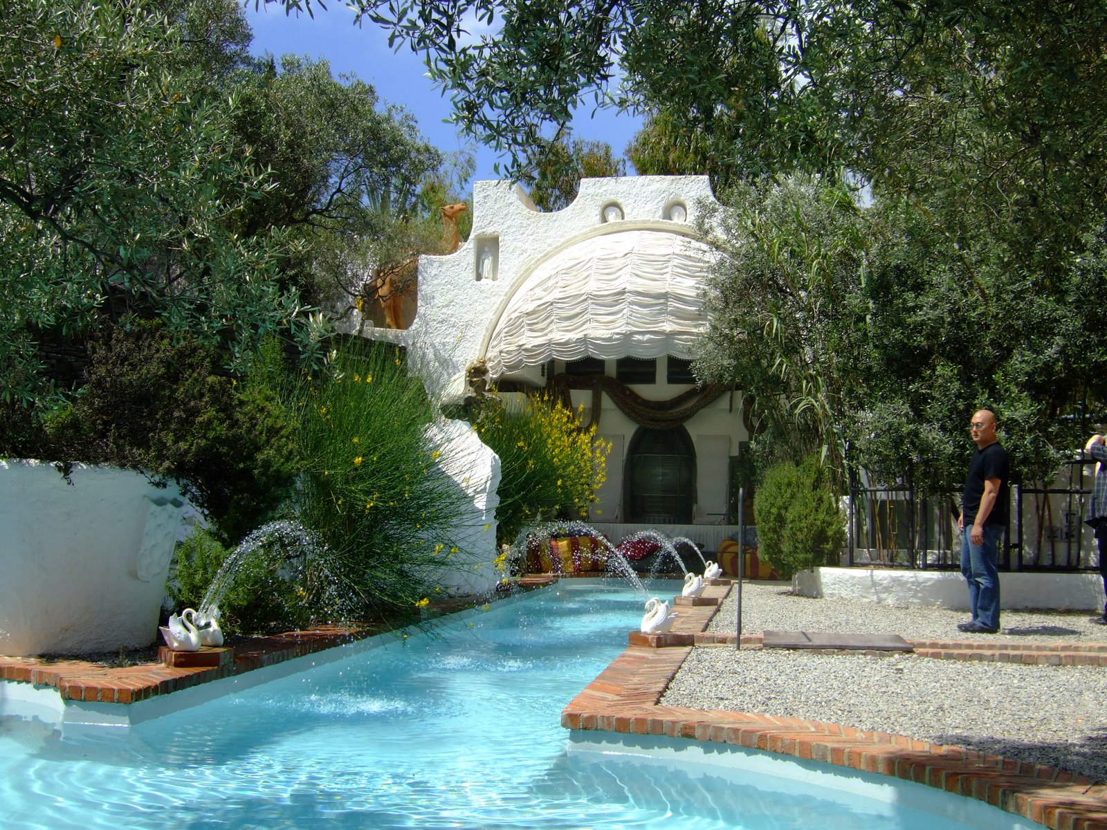 Crazy Shape Swimming Pools