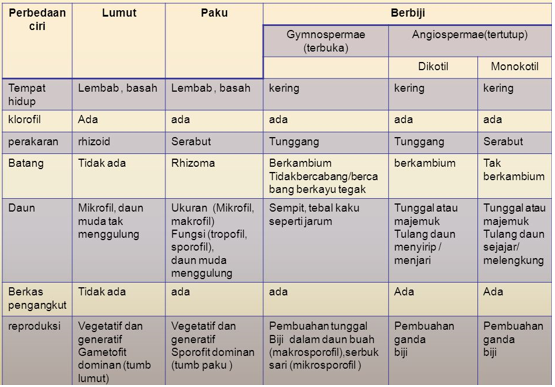 LK.48. Analisis Fenetik dan Filogenetik Tumbuhan serta Peranannya dalam ...