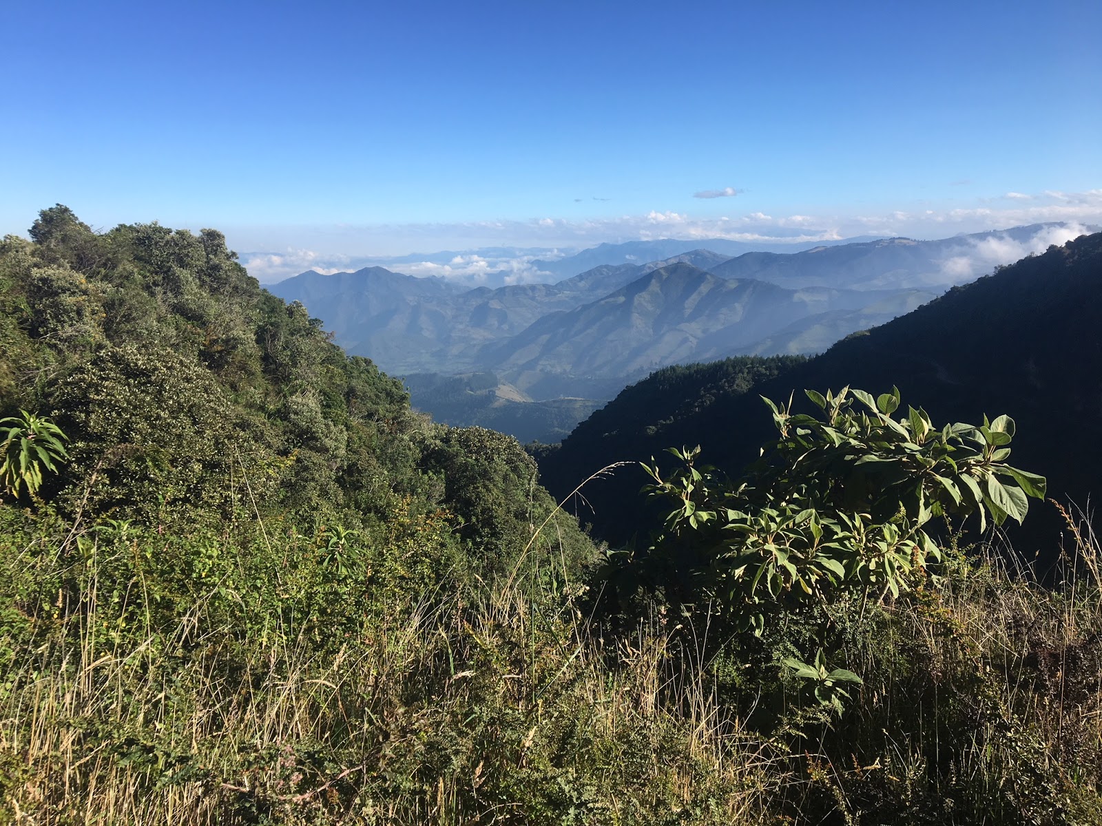 The Speckled Hatchback: Post #128 - Birding Quito's Reserva Yanacocha