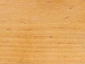 Marzua: Madera de Abedul