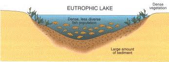 Freshwater Ecology: Oligotrophic, Mesotrophic, and Eutrophic Lakes