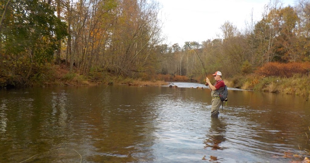 The Fading Angler: Mornin' Ralph...