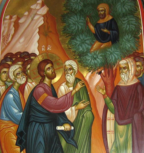 la semilla de cada dia: La búsqueda de Zaqueo que a pesar de las ...