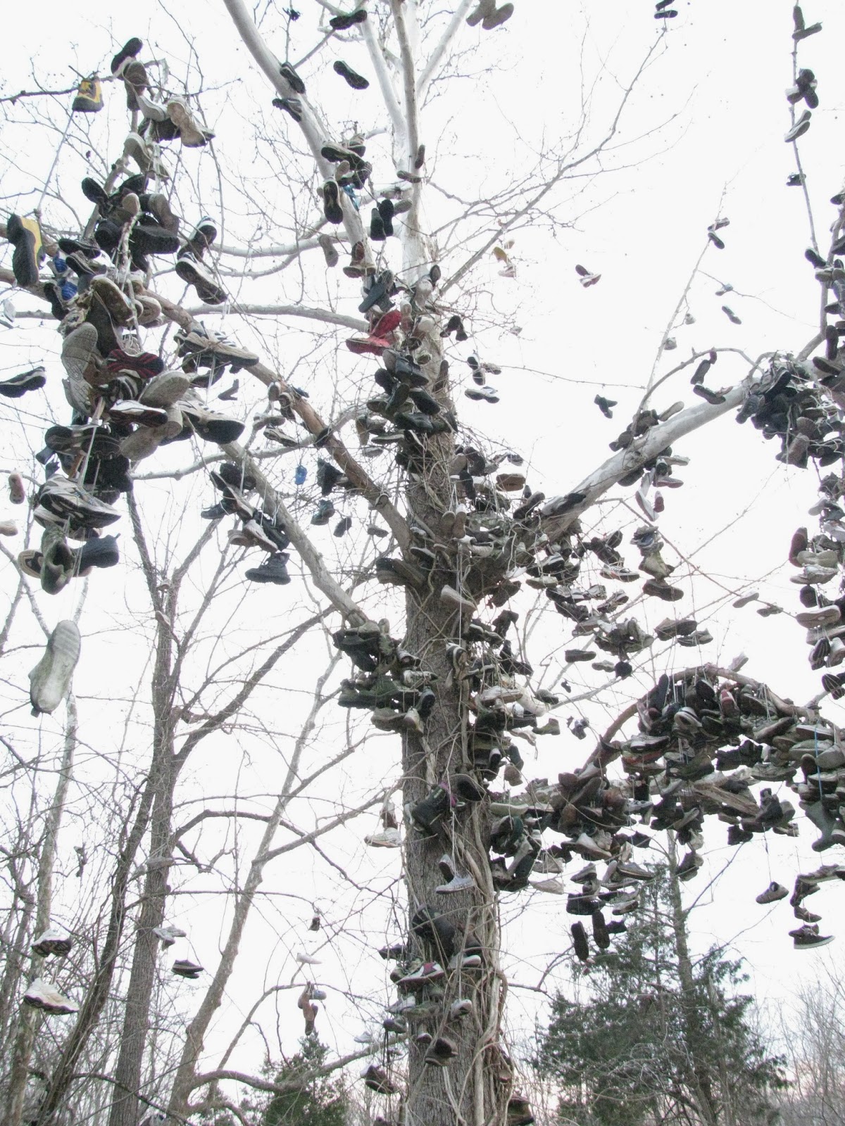 Eerie Indiana: The Famous Shoe Tree, Milltown, Indiana
