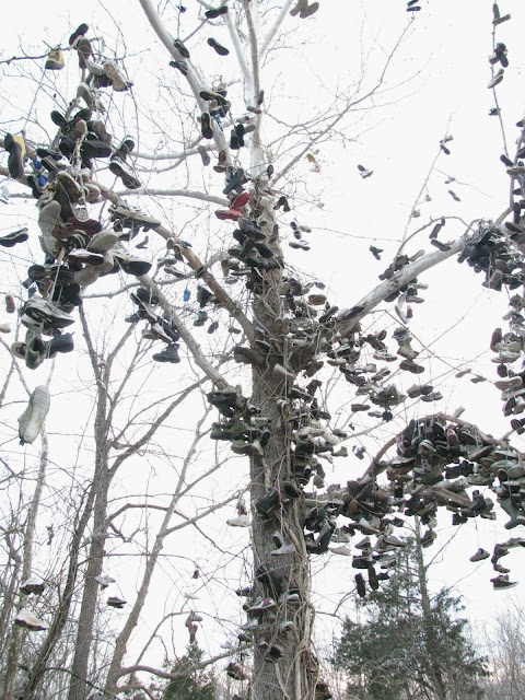Eerie Indiana: The Famous Shoe Tree, Milltown, Indiana