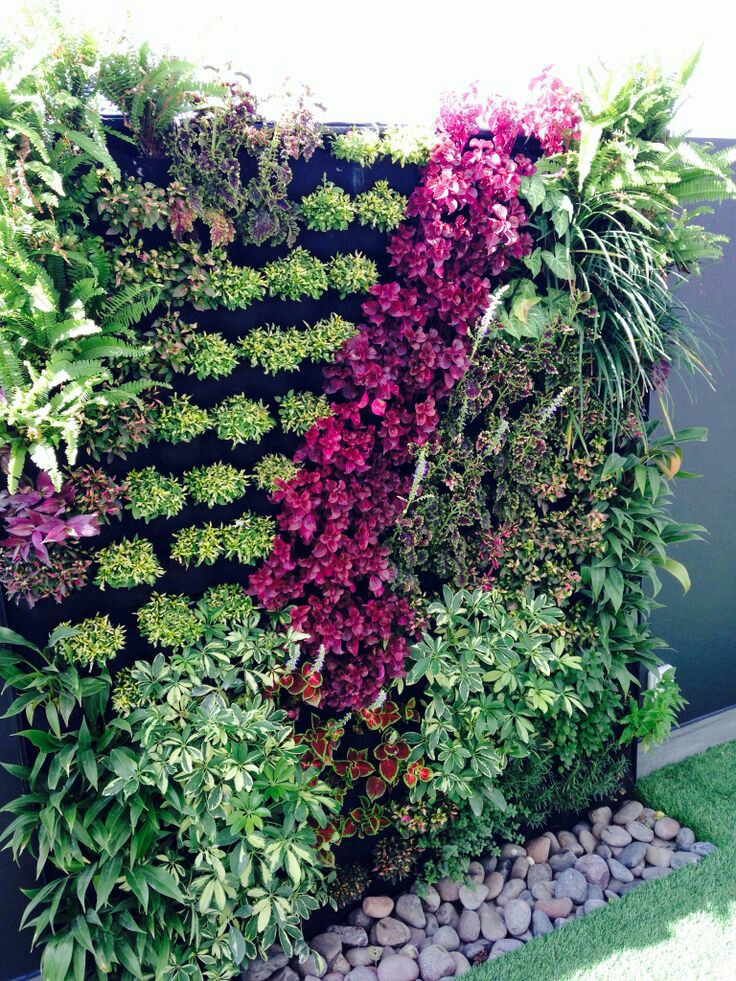 JASA PEMBUATAN TAMAN VERTICAL SEMARANG|VERTICAL GARDEN SEMARANG ...