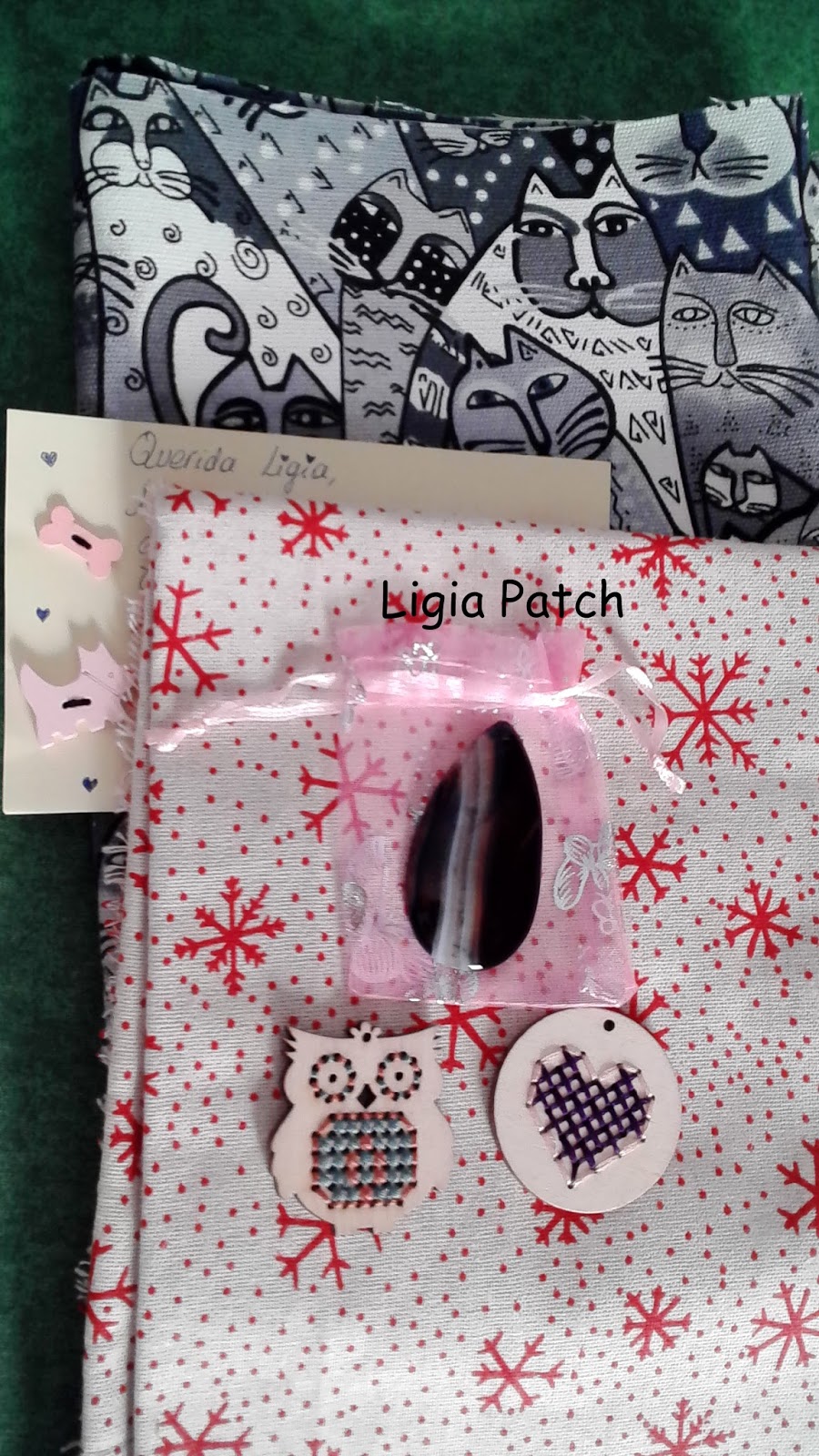 Ligia Patch: 2017