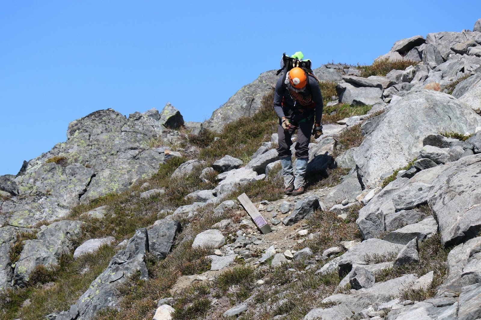 In Search of Slumach: 2018