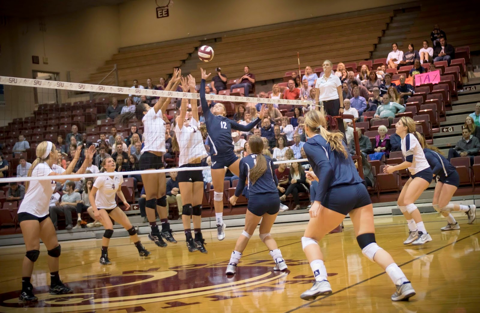 Volleyblog Seattle: College | Washington volleyball one of only five ...