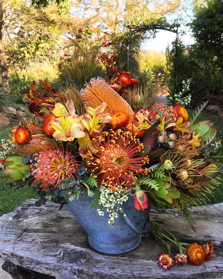 A Passion for Flowers: June Bliss