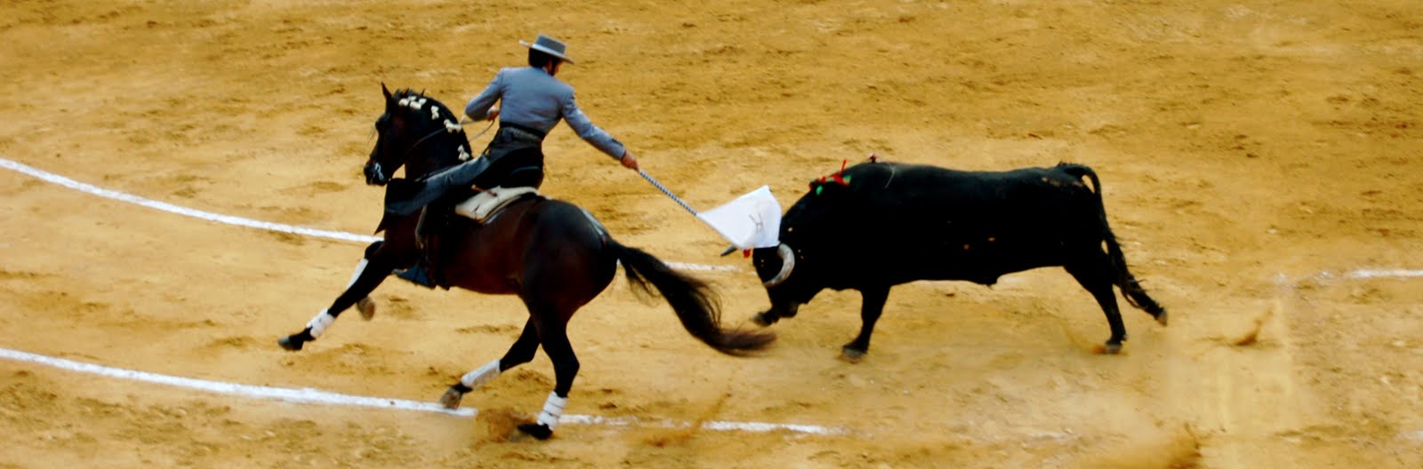 Destination Espana: Bullfighting