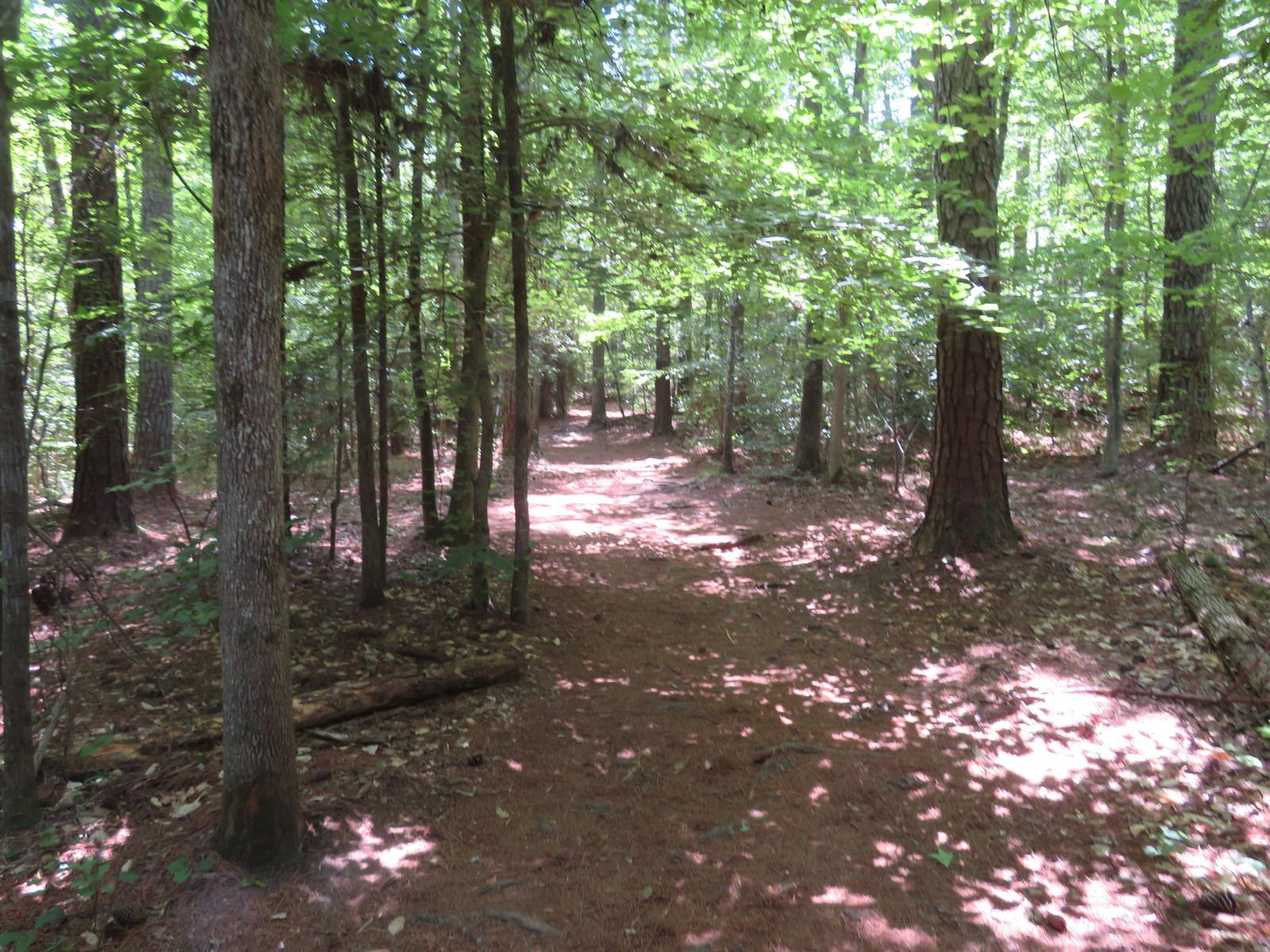 Hiking with a Fat Bald White Guy: RAVEN ROCK STATE PARK - RAVEN ROCK ...