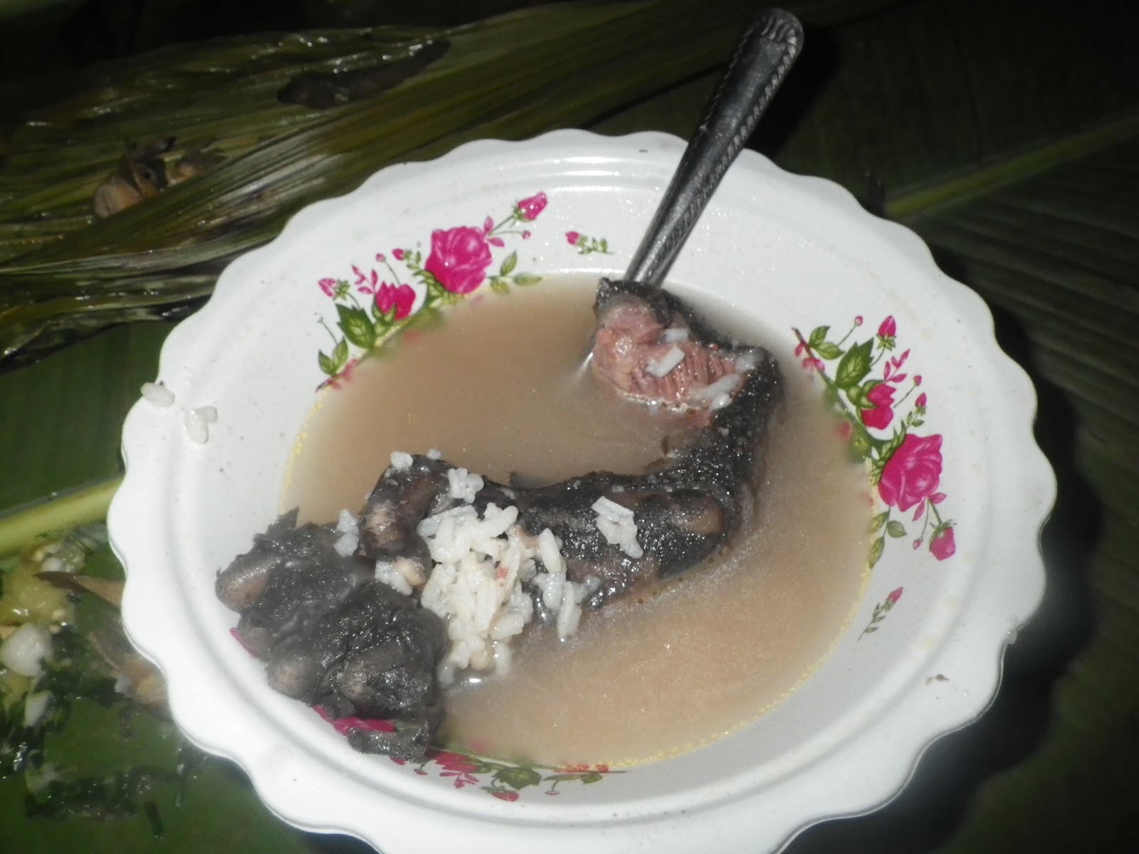 Allisons in Ecuador: Monkey Meat - You can have the hand!