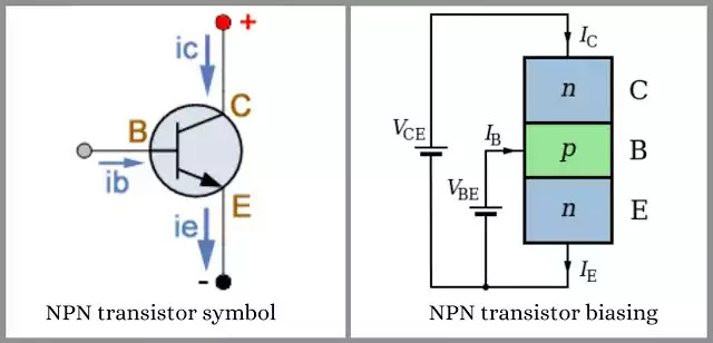 How transistor work? Beginner's Guide