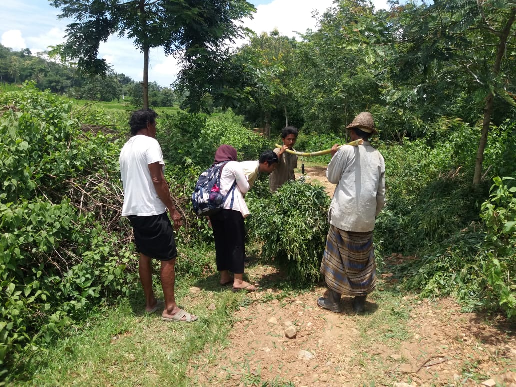 Kelompok Tani Hutan Apresiasi Terobosan Gubernur NTB