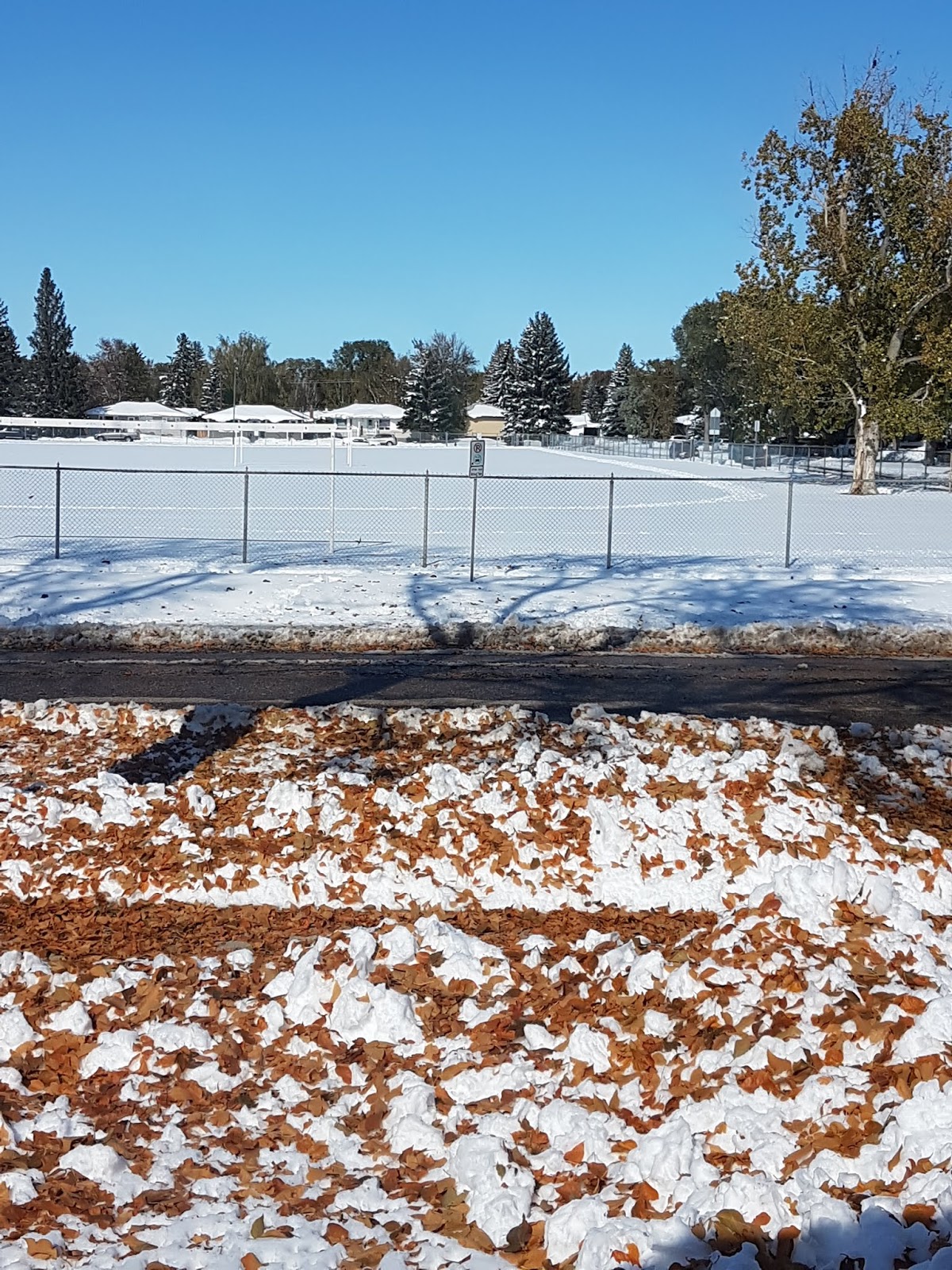 Living to Tell the Story: Southern Alberta Fall