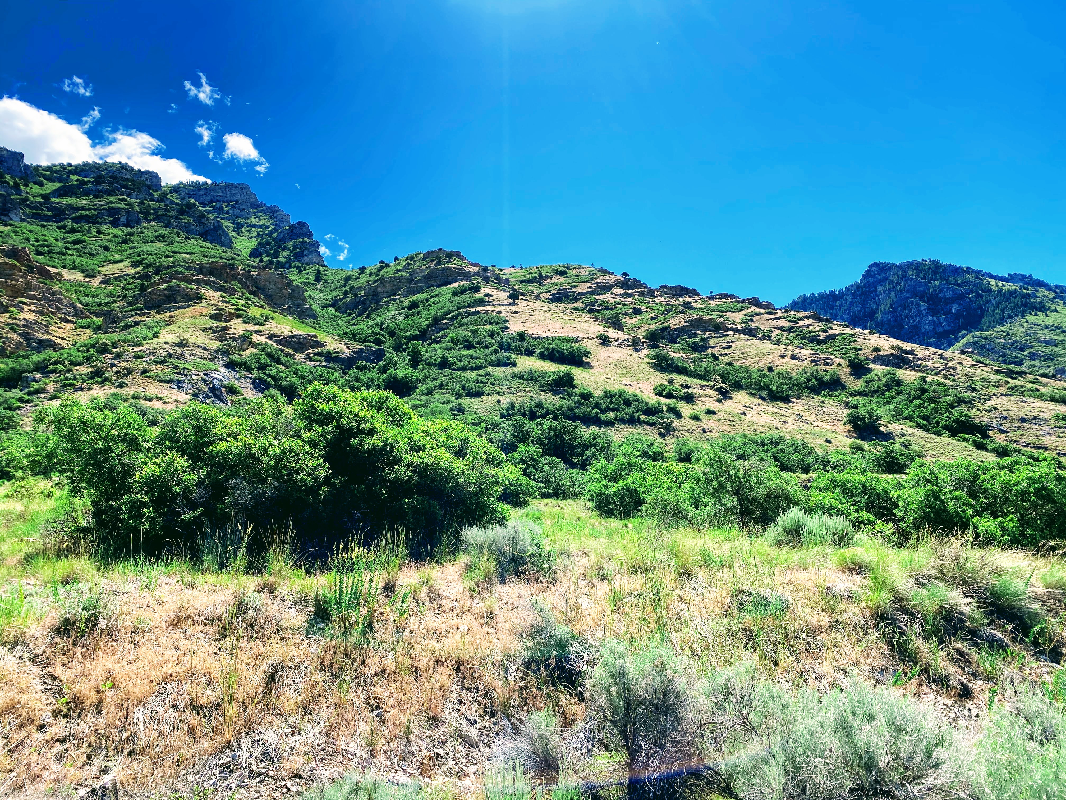 Walking Arizona: Wasatch Mountain Hillside