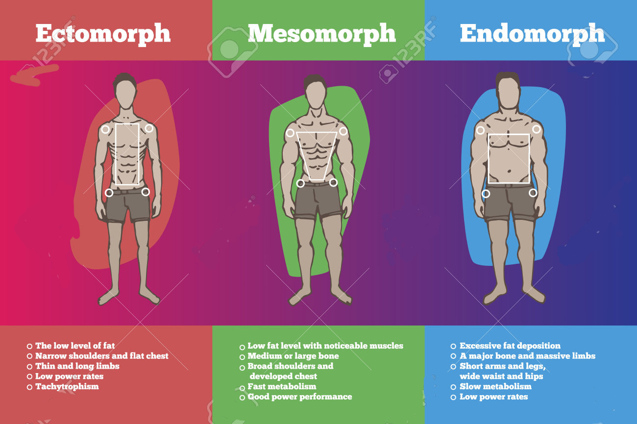 DESCUBRE QUE TIPO DE CUERPO TIENES: SOMATOTIPOS ~ EL BLOG FULL- FITNESS