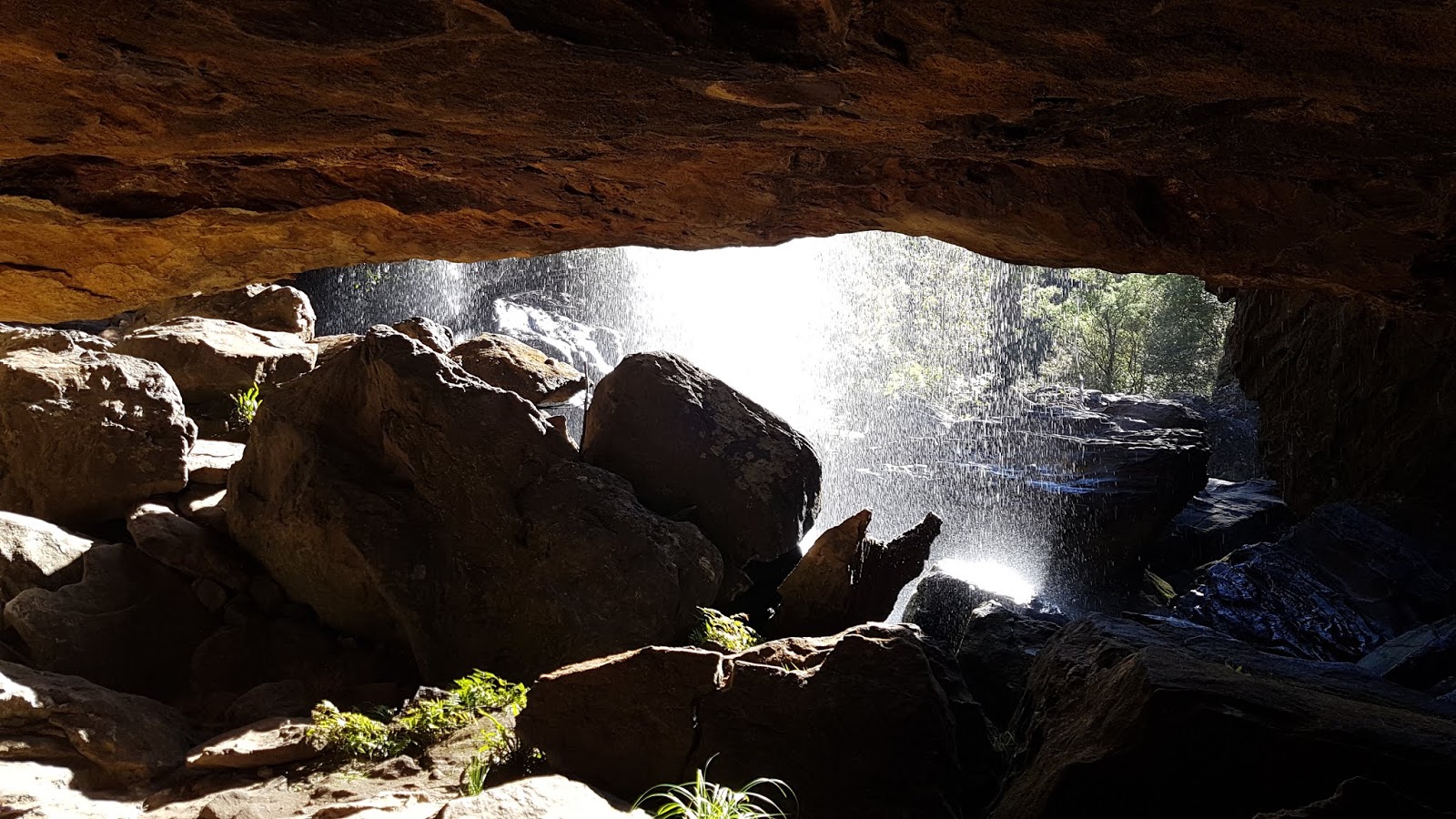 Steventure: Forty Foot Falls