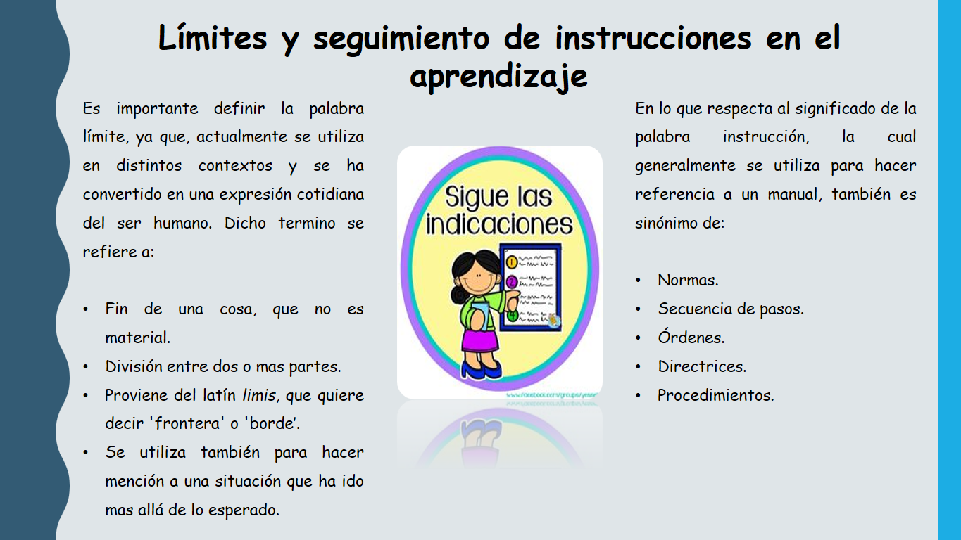 PSICÓLOGA EN CASA: SEGUIMIENTO DE INSTRUCCIONES EN EL PROCESO DE ...