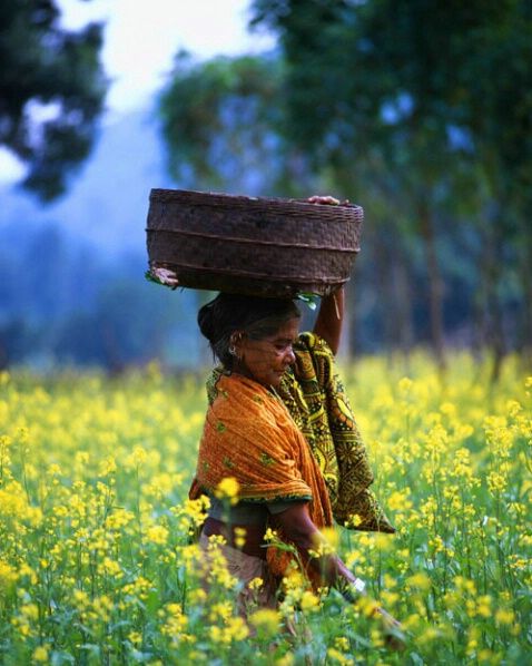 Métodos Tradicionais de preservação de Alimentos, controle de pragas ...