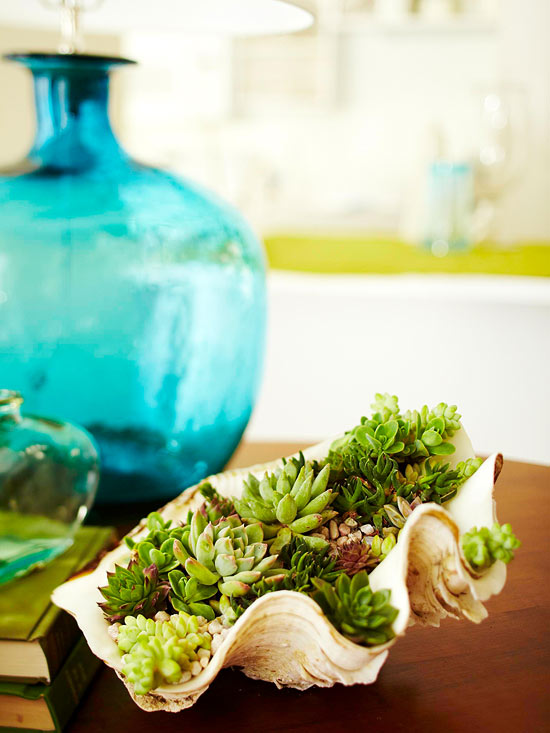 Everything Coastal: 12 Inspired Clam Shell Ideas