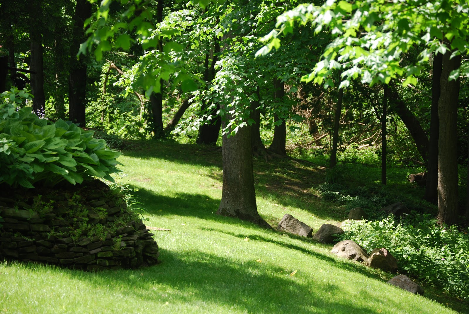 Zone Five and a Half: Turf Times -- How To Grow Grass From Seed